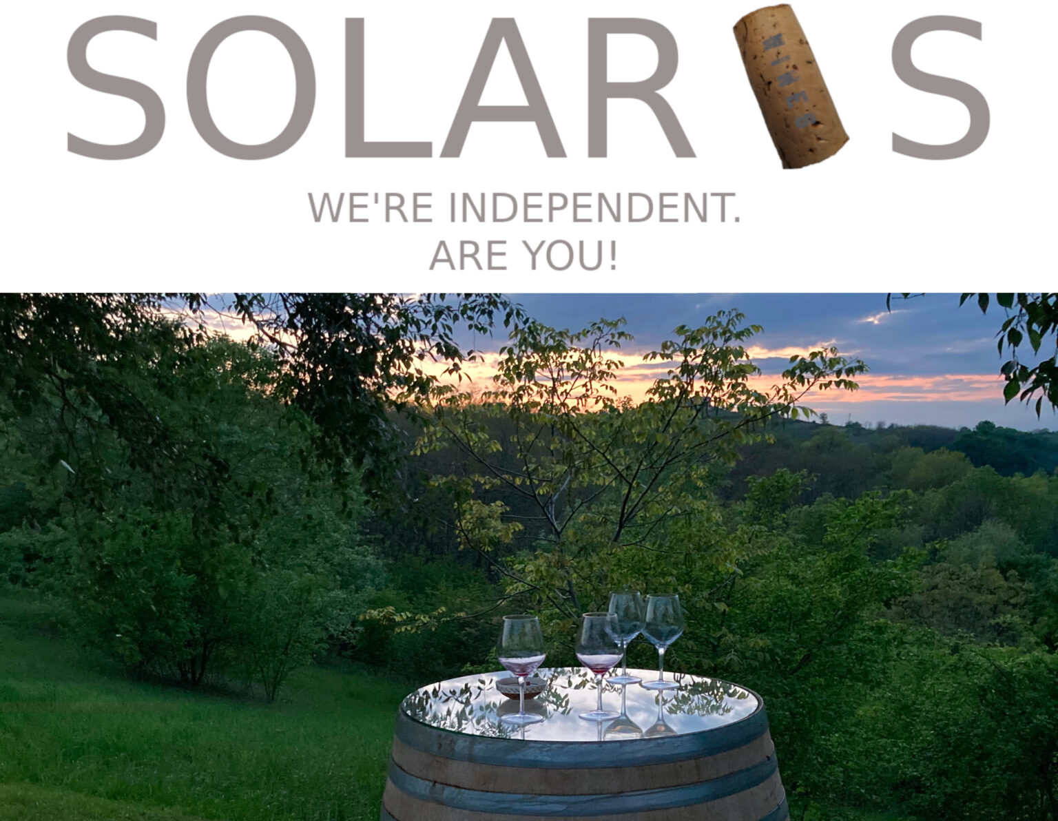 Hungarian Wine – Solaris Wines